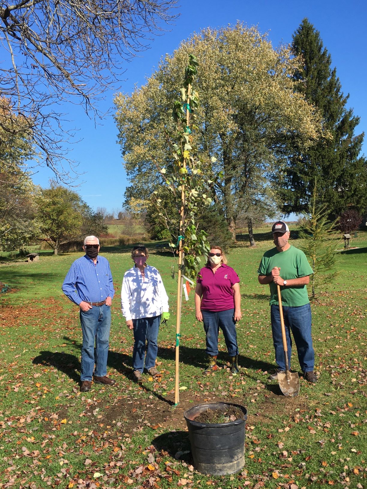 Rotary Club Members Assist In Tree Planting | News, Sports, Jobs - Post ...